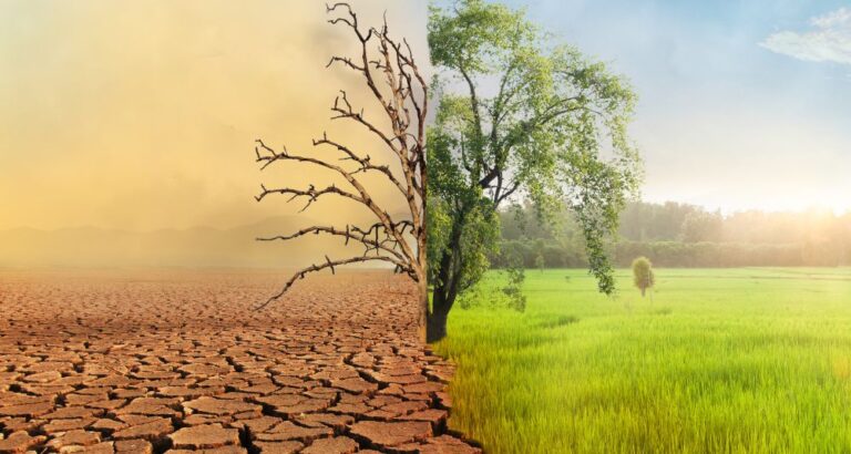 Four-Year Review: What We’ve Learned from Cisco Foundation’s Climate Grants