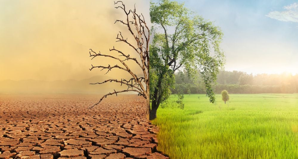 GEF Approves $72.8 Million for Climate-Resilient Agriculture and ...