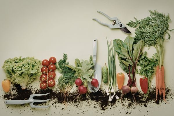 Global Food Security Under Pressure: Key Market Risks for 2026